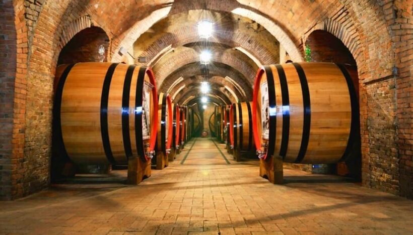 Undurraga Wine tour - A Closer Look at the Undurraga Wine Tour