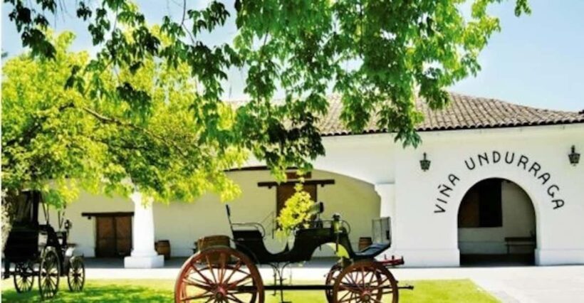 Undurraga Wine tour - Final Thoughts: Is This Tour Right for You?