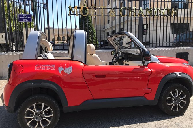 Unesco Champagne Experience from Reims (Private full day tour) - Final Thoughts