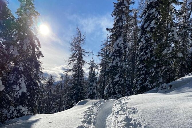 UNESCO Dolomites great expedition from Venice by Yellowboot - What’s Included and Whats Not