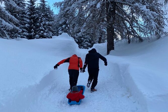 UNESCO Dolomites great expedition from Venice by Yellowboot - The Experience from a Traveler’s Perspective