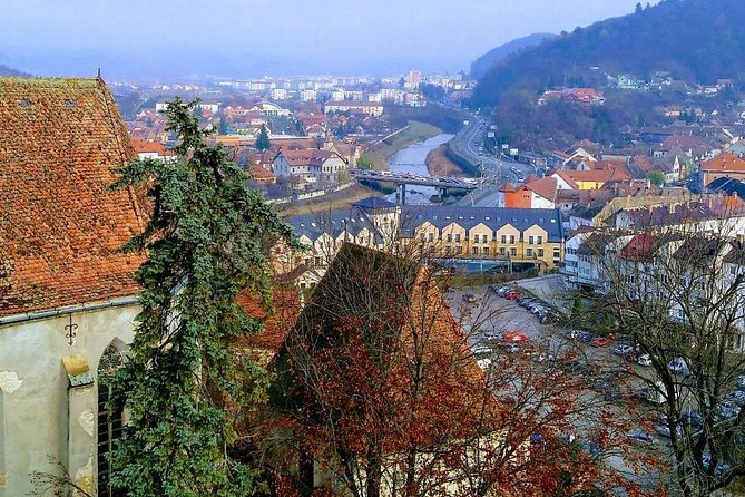UNESCO Guided Day Tour From Brasov: Sighisoara, Rupea and Viscri - What to Expect on the Tour