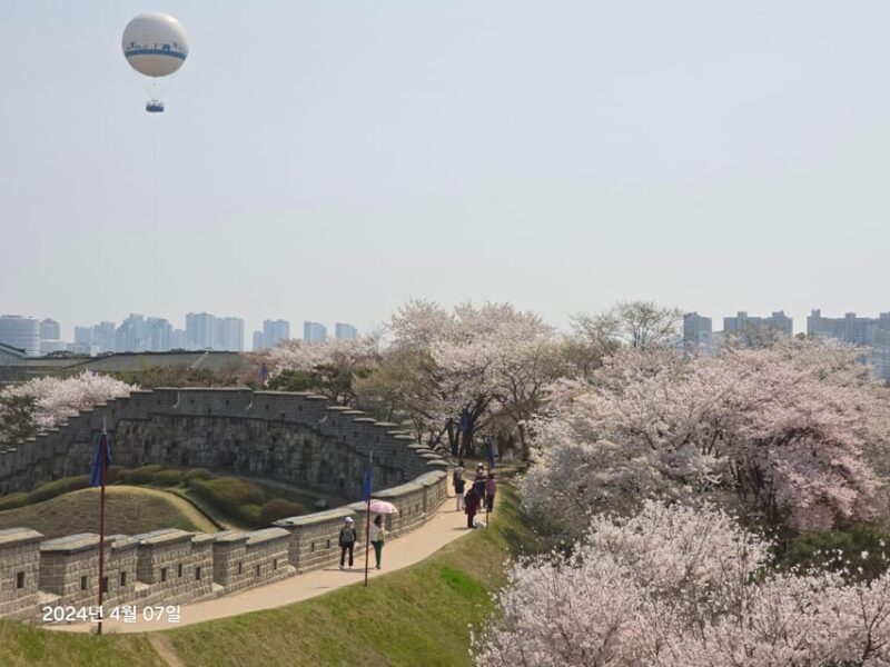 Unesco heritage, Suwon Hwaseong fortress, and Folk village - Who Should Consider This Tour?