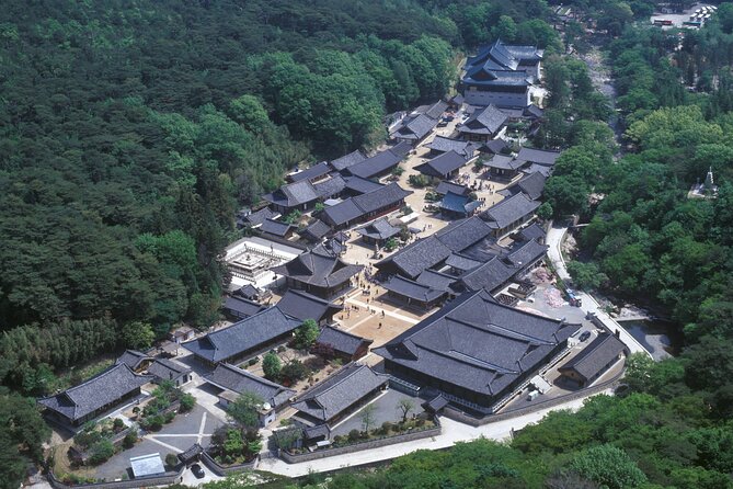 UNESCO Tongdosa Temple + Gourmet Eonyang Style Bulgogi Lunch - Who Should Consider This Tour?