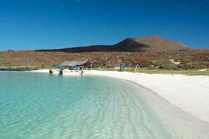UNESCO World Heritage Site: 1 Day Coronado Island from Loreto Adventure - Value and Practicality: Is It Worth the Price?