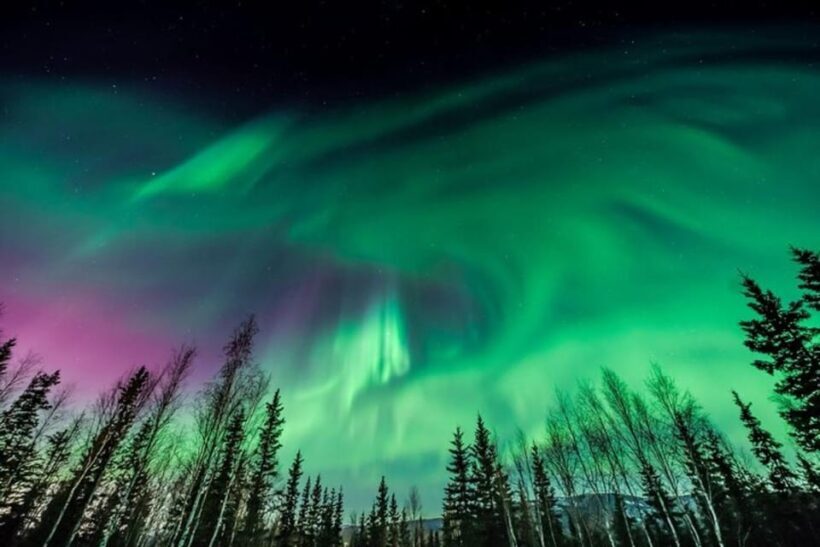 Unforgettable and Fabulous Northern Lights in Reykjavík - Final Words: Is It Worth It?