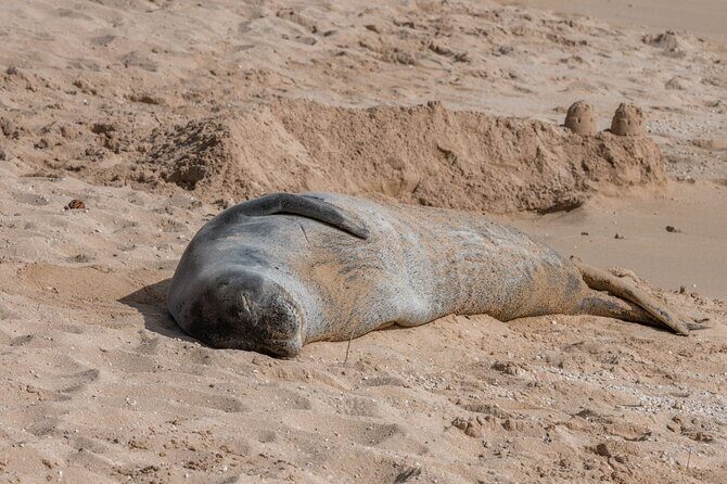 Unforgettable Day on Oahu | Small Group Circle Island Tour - Final Thoughts