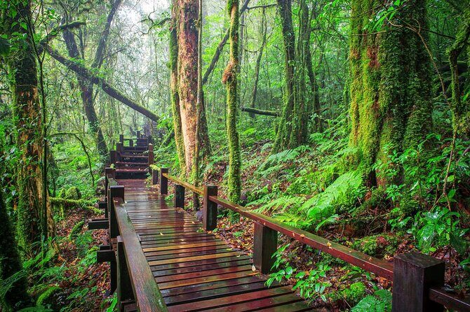 Unforgettable Doi Inthanon Trek: Kew Mae Pan/Pha Dok Seiw - Summary of Value