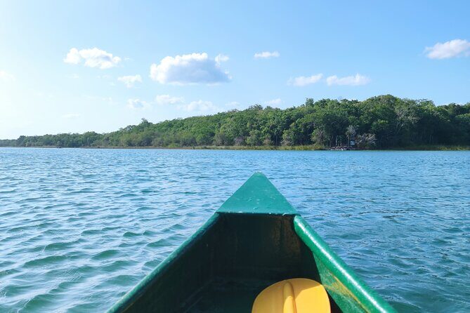 Unforgettable Journey: Coba, Monkey Reserve, and Mayan Cenote - Who Is This Tour Best For?