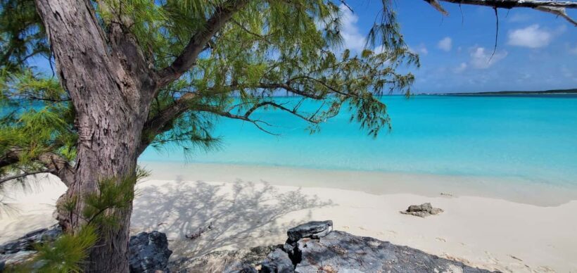 Unforgettable Land Tour on Long Island Bahamas - Who Should Consider This Tour?