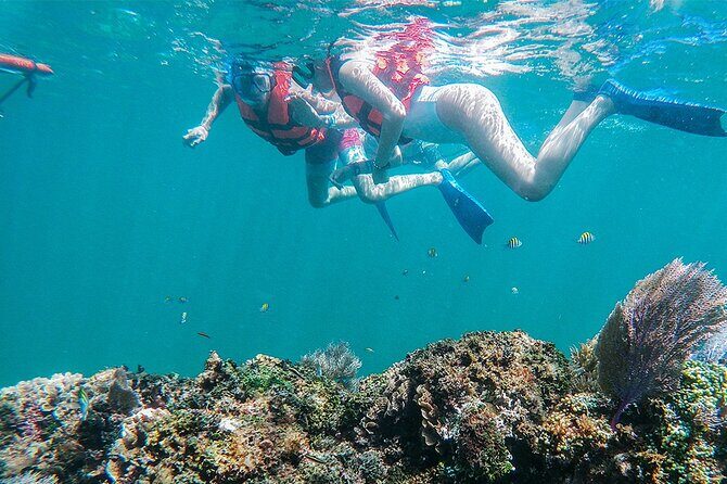 Unforgettable Snorkel Adventure in Cancun whit Transpotations - Starting Point and Logistics