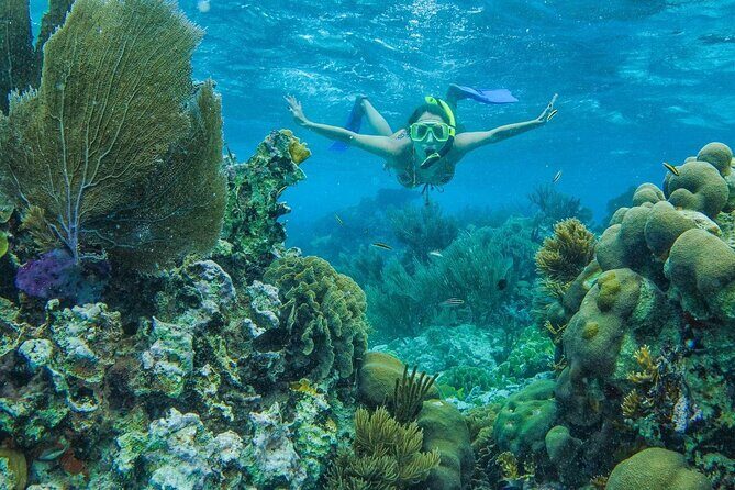 Unforgettable Snorkel Adventure in Cancun whit Transpotations - Weather and Flexibility