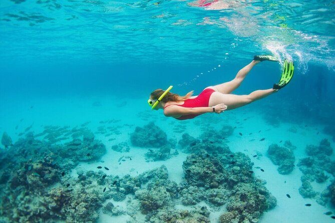 Unforgettable Snorkel Adventure in Cancun whit Transpotations - Accessibility and Additional Info