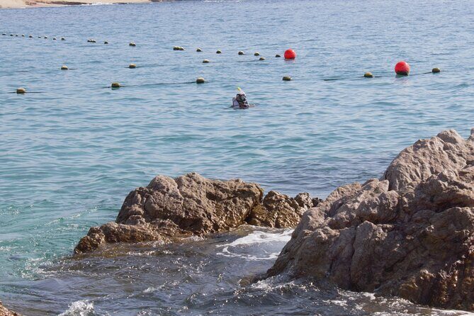 unforgettable snorkeling activity in The Sea of Cortes - Who Will Love This Tour?