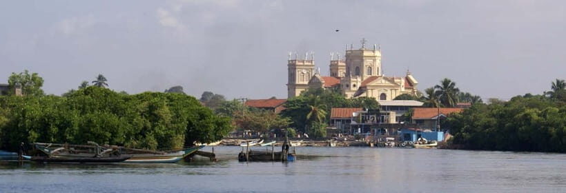 "Unforgettable Sri Lanka: 8-Day Cultural & Scenic Tour" - Who This Tour Is Best For
