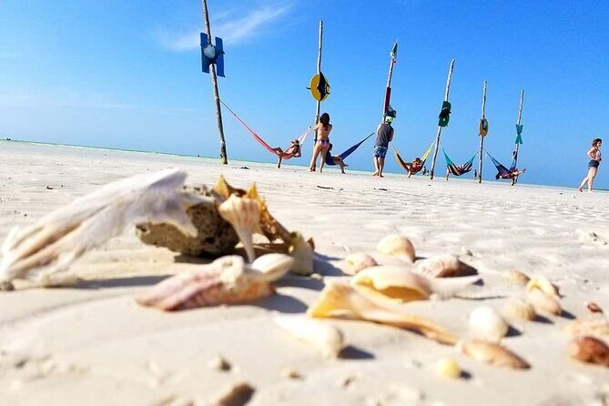 Unforgettable Tour Holbox 2 Islands & Cenote Yalahau from Cancún - What’s Included and What to Keep in Mind