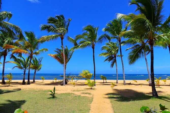 Unforgettable Week in the Dominican Republic - Key Points