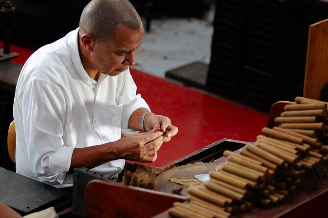 Unforgettable Week in the Dominican Republic - Final Takeaway