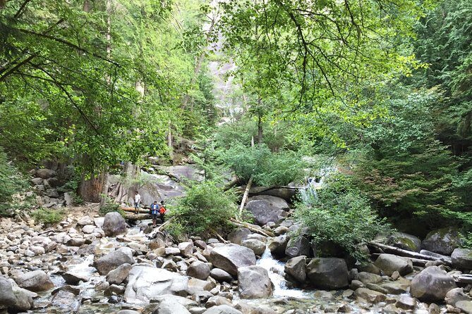 Unforgettable Whistler ( Full Day Private Tour) - Shannon Falls: A Natural Wonder