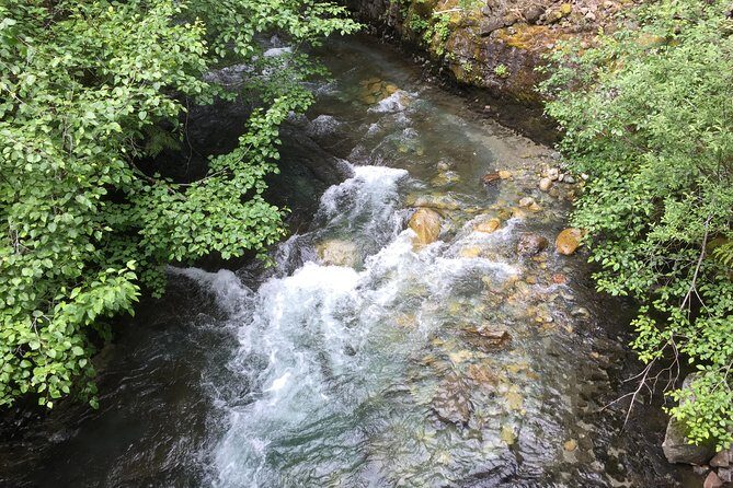 Unforgettable Whistler ( Full Day Private Tour) - Brandywine Falls: A Photo-Opportunity