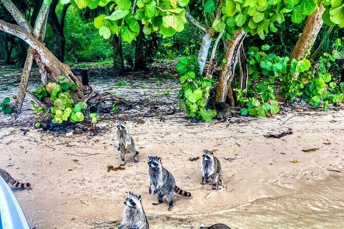 Unique 5 Hours-Boat Tour to Raccoon Island from Fort Lauderdale - Exploring Fort Lauderdale’s Waterways on a Private Boat