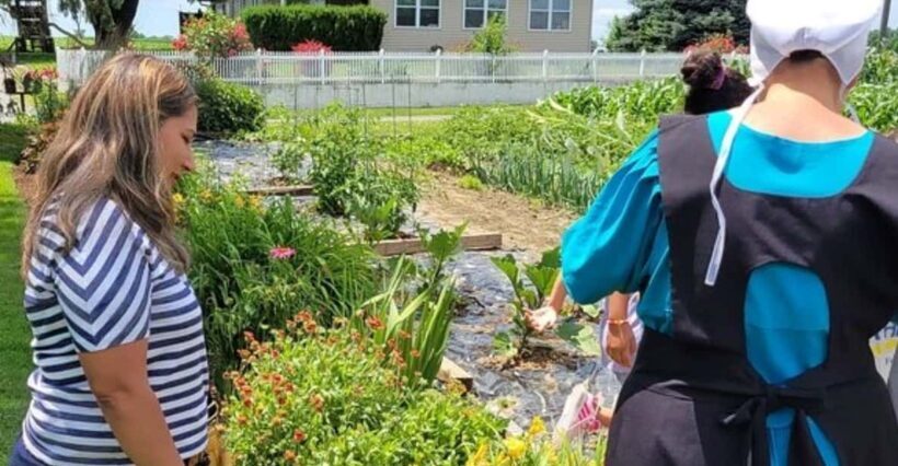 Unique Amish Immersion Experience - A Closer Look at the Amish Immersion Tour
