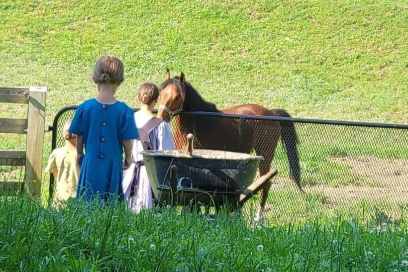 Unique Amish Immersion Experience - Authenticity and Personal Encounters