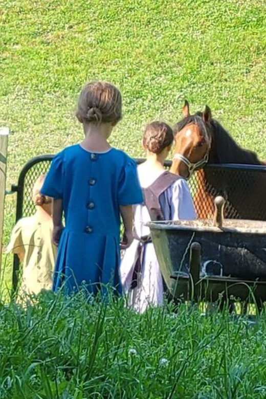 Unique Amish Immersion Experience - The Experience of Visiting Private Amish Farms