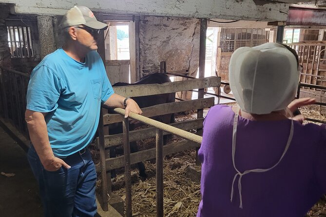 Unique Amish Immersion in Lancaster - Transportation, Group Size, and Timing