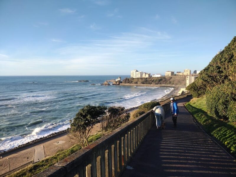 Unique Basque Nature - Guided tour by car - Exploring the Basque Nature by Car: An Informative Review