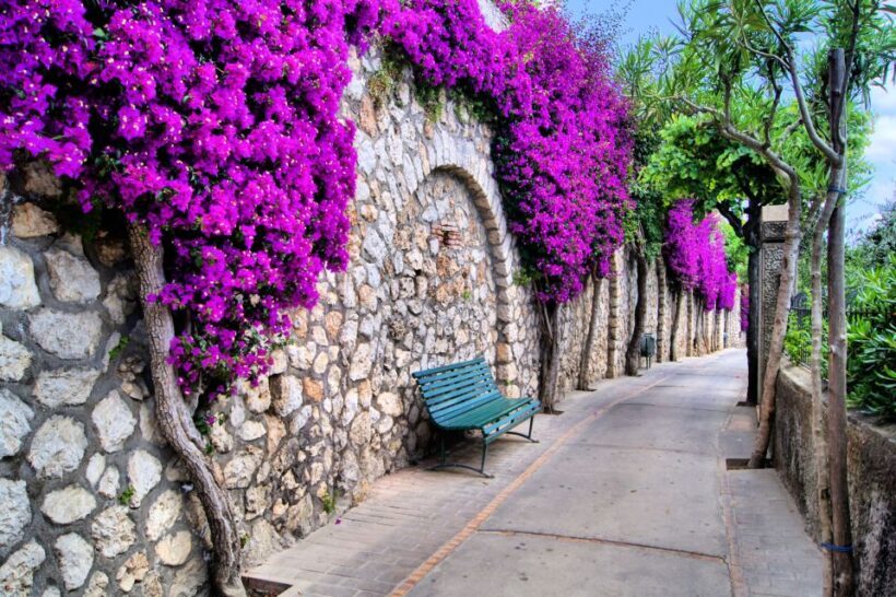 Unique Beauty and Heritage - Capri Walking Tour - Final Thoughts
