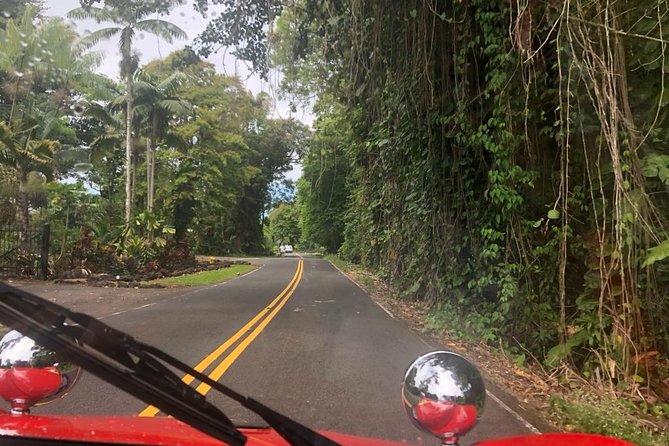 Unique Buggy Rental on the Big Island, Hawaii - Cancellation and Flexibility