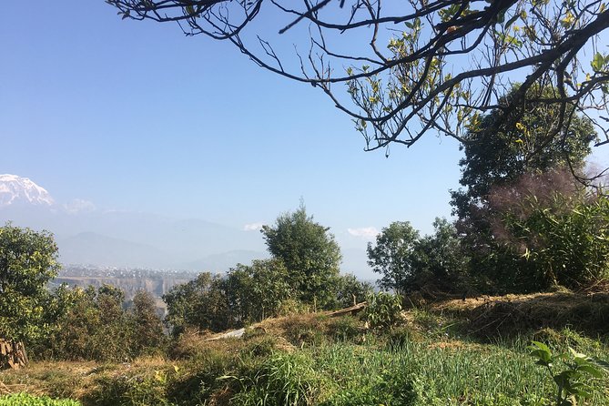Unique Easy Hiking to Foxing Hill from Pokhara - Who Should Consider This Tour?