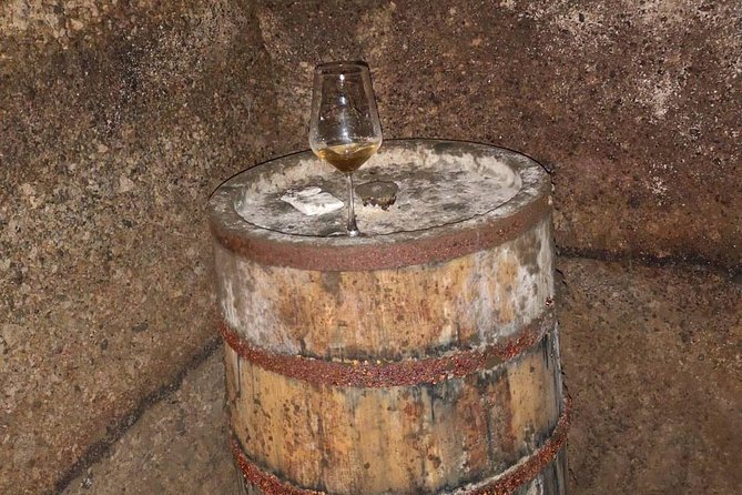 Unique Enobike Experience With Tasting in 2 Excellent Wineries - The Perfect Itinerary: Visiting Three Wineries