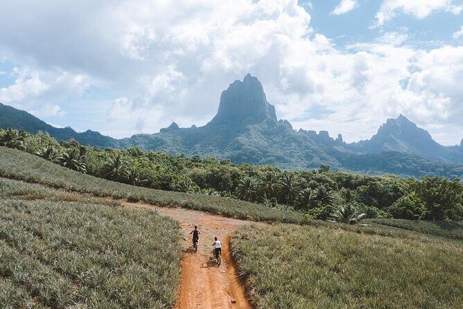 Unique excursion to Moorea on a 100% electric motorbike - The Practicalities: What to Expect