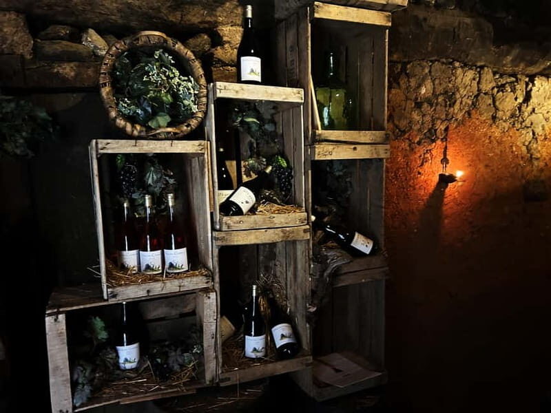 Unique experience in XVI winery with tasting near Salamanca - The Setting: A Window to the Past