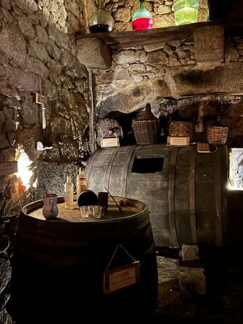 Unique experience in XVI winery with tasting near Salamanca - Tasting the Rufete Wines