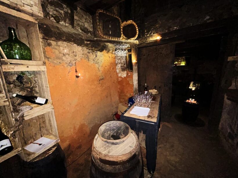Unique experience in XVI winery with tasting near Salamanca - What Reviewers Say