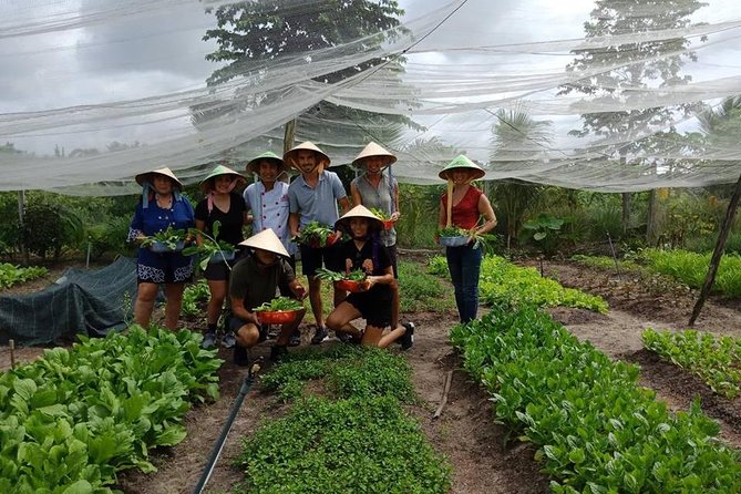 Unique farm to Table cooking class in Saigon - Transportation, Timing, and Group Size