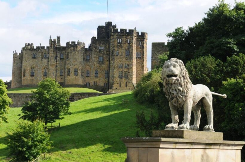 Unique Heritage: Newcastle Private Walking Tour - Final Thoughts: Who Will Love This Tour?