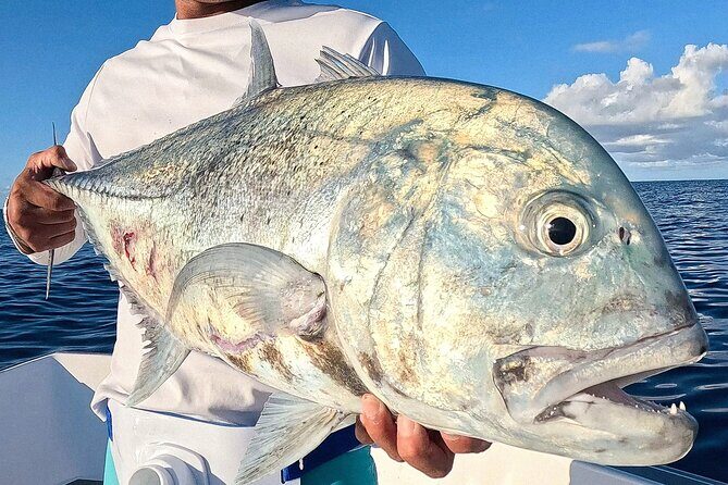 Unique in Raiatea: discover the lagoon, fish, cook, enjoy! - FAQs