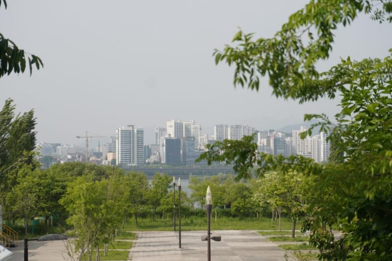 Unique Native Experience : Han River Picnic, Board game, BBQ - Why This Tour Works