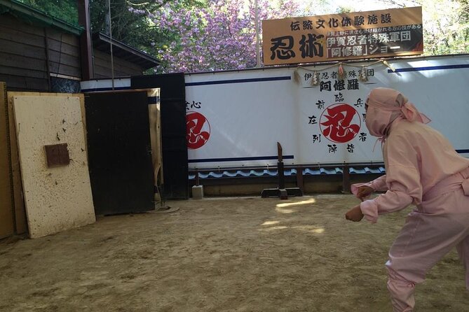 Unique Ninja One Day Experience in Iga - Getting to the Ninja Experience