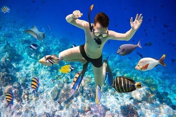 Unique Phu Quoc Full Day Diving Tour with Pro Guide - Final Thoughts