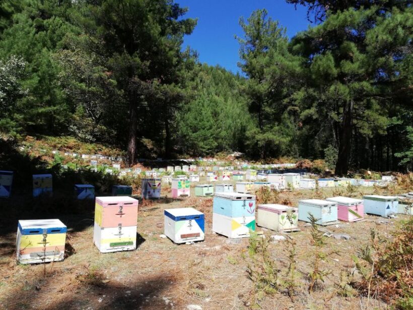 Unique Private Jeep Tour Thasos Island - Final Thoughts
