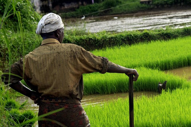 Unique Shimla and Manali tour - Itinerary Breakdown