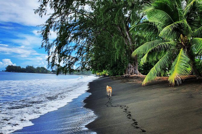 Unique Tahiti Tour - personalised, small group east coast tour - Who Should Consider This Tour?