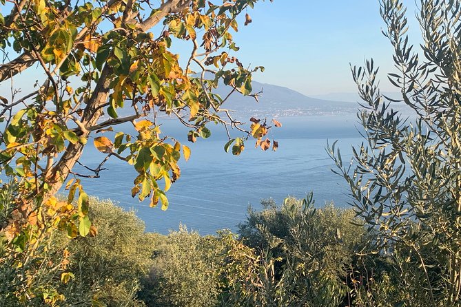 Unique Tour | Discovering Amalfi on a Minivan with driver - FAQ