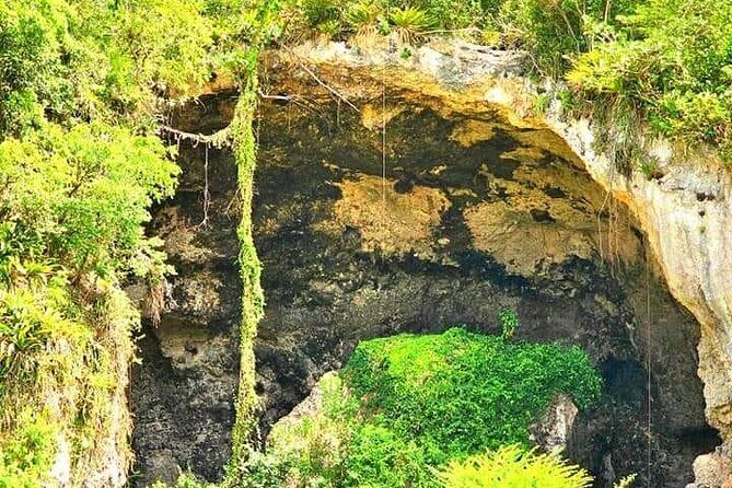 "Unique Tour" Loiza, Cultue, Art & Bomba Dance Class on The Beach - FAQ
