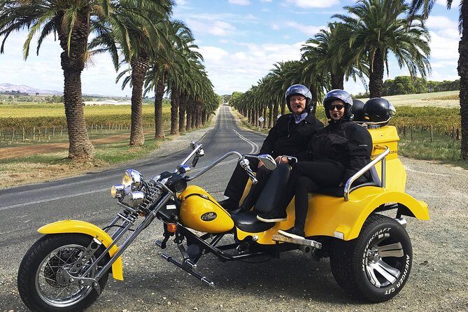 Unique Trike Barossa Valley Half Day Private Tour For 2 - A Detailed Look at the Trike Tour Experience